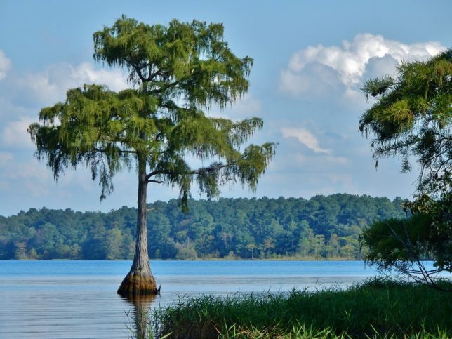 NC State Parks May Reopen Soon - Travel NC